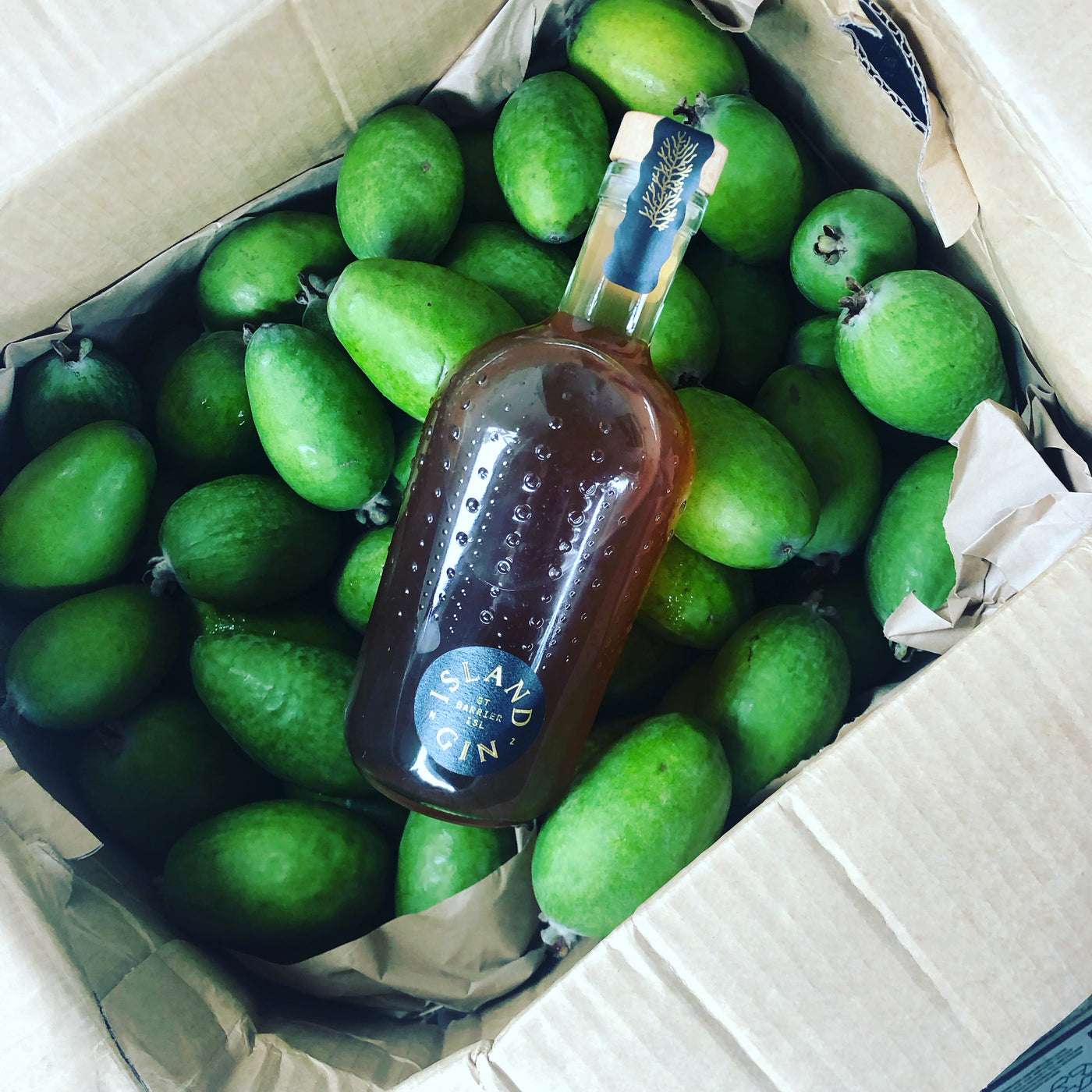Island Gin distillery. New Zealand.